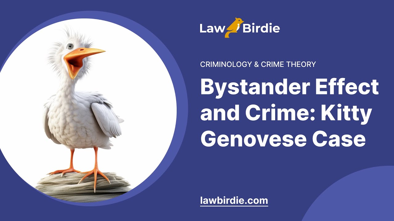 Bystander Effect and Crime: Kitty Genovese Case - Essay Example - YouTube