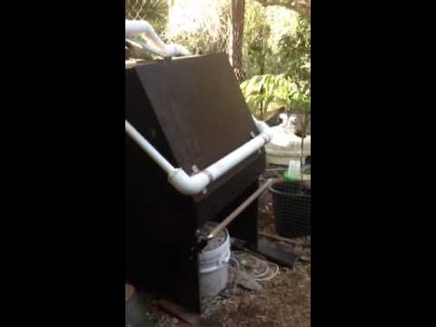 Stop rooster crowing box - YouTube