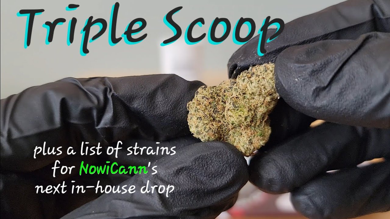 Triple Scoop THCa Flower Review + A List of Strains for NowiCann's Next ...