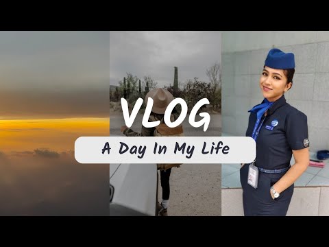My Daily Vlog|Be Positive|CrewLife - YouTube