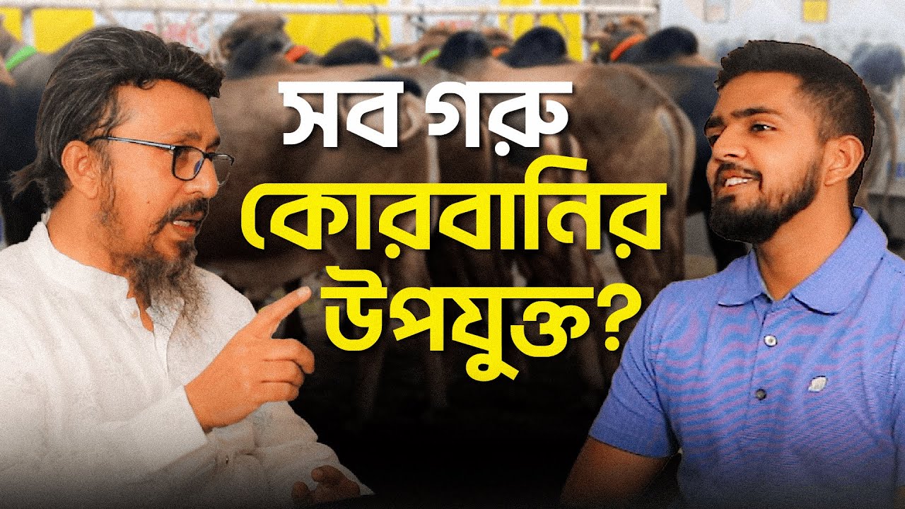 কোরবানি ২০২৪ : সহজ সমাধান দিচ্ছে মেঘডুবি এগ্রো | Ali Shaheen Sami ...