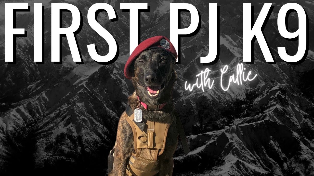 Pararesue Military Working Dog Handler MSgt Rudy Parsons- and Callie ...