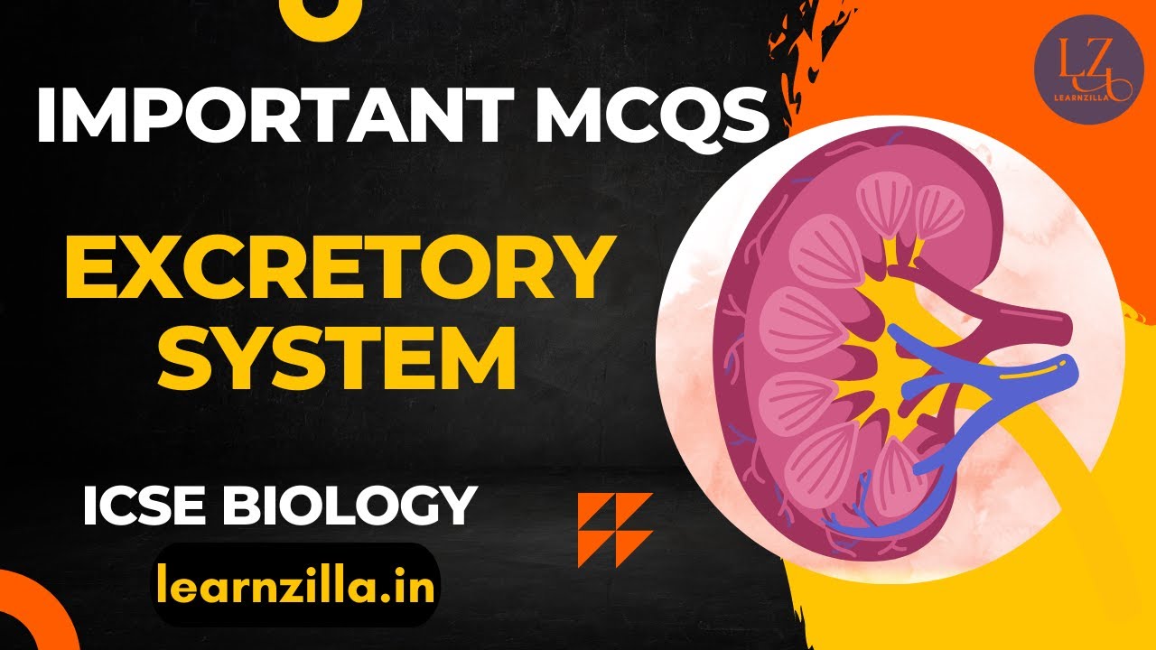 Biology Important Questions | MCQ | Excretory system | lass 10 ICSE ...
