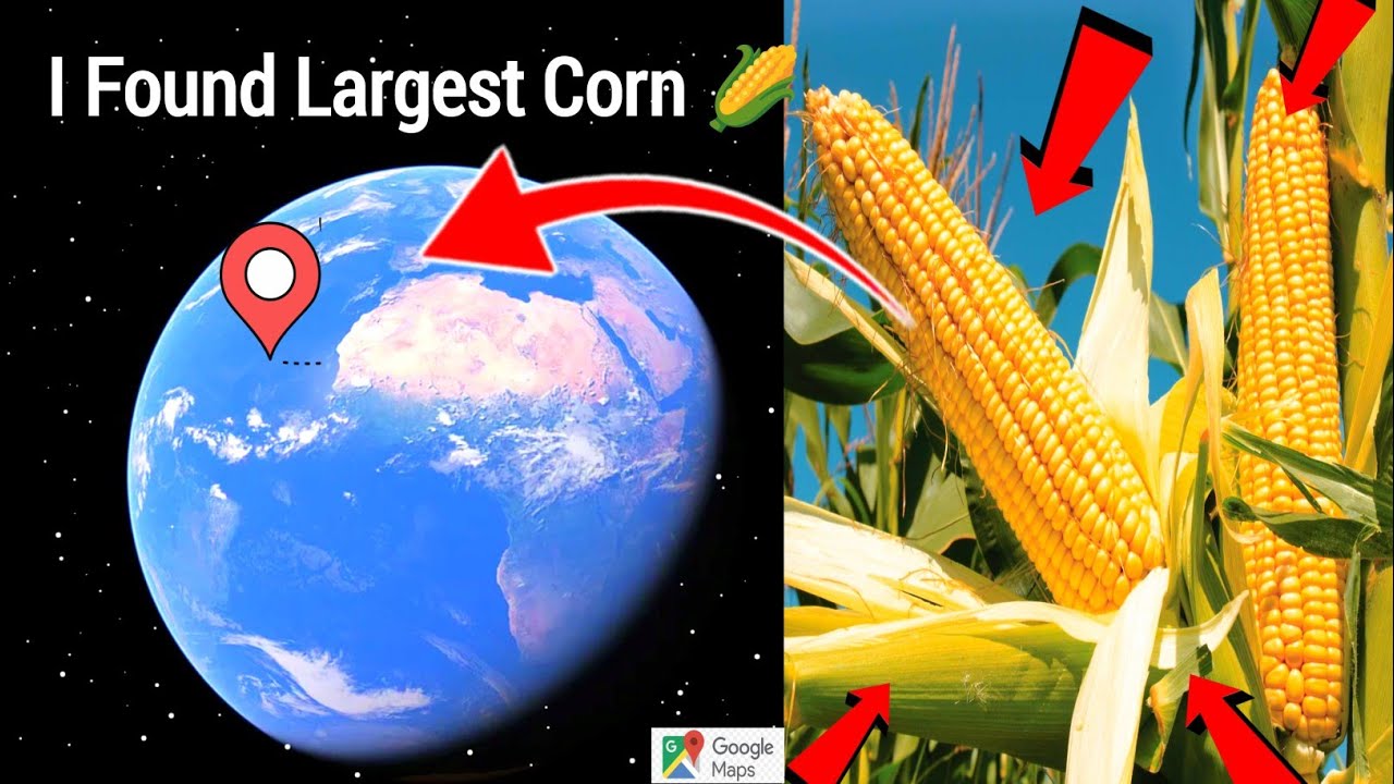 USA🌽 Found Largest Corn 📌Gio At The END📍Google earth #googleearth #maps ...
