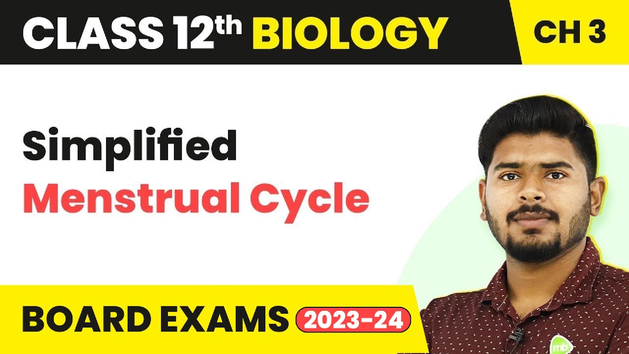 Simplified Menstrual Cycle - Human Reproduction | Class 12 Biology ...