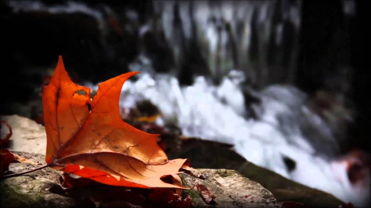 Relaxing Piano Music "Last Leaves of Autumn" (original) by Gabrielle ...