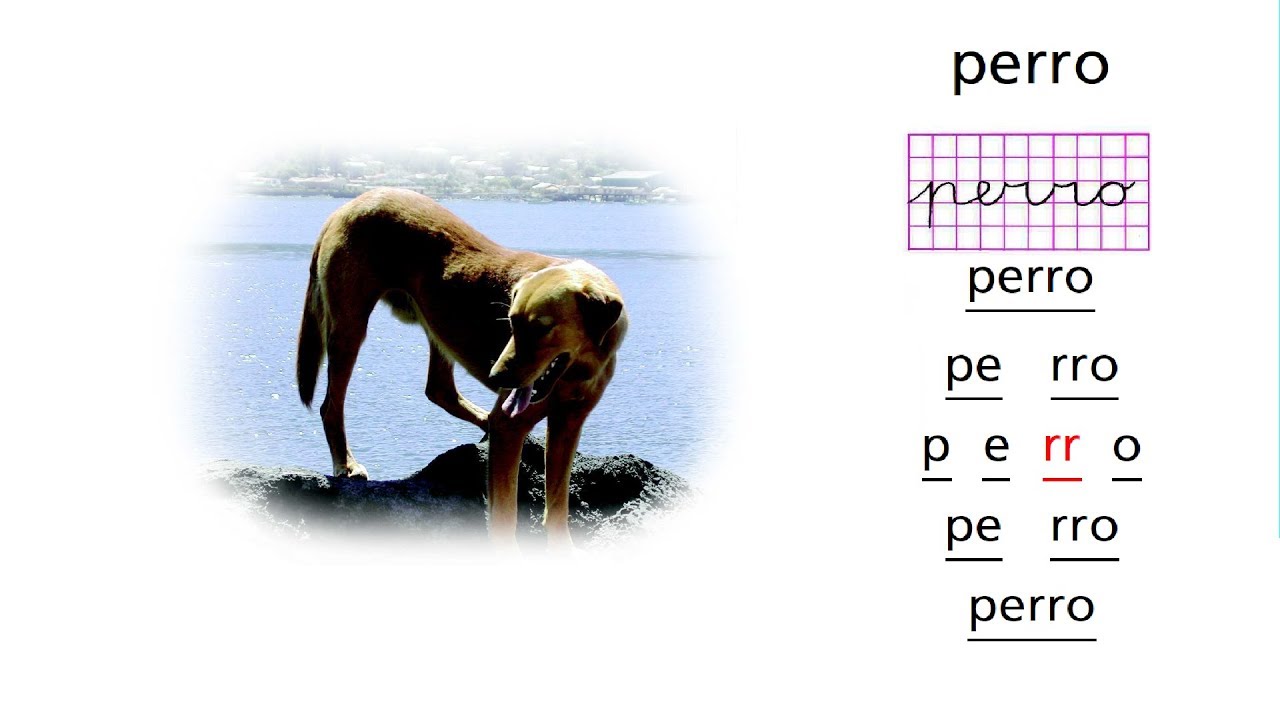 Metodo Matte Página 16 perro. 30 Octubre 2017 - YouTube