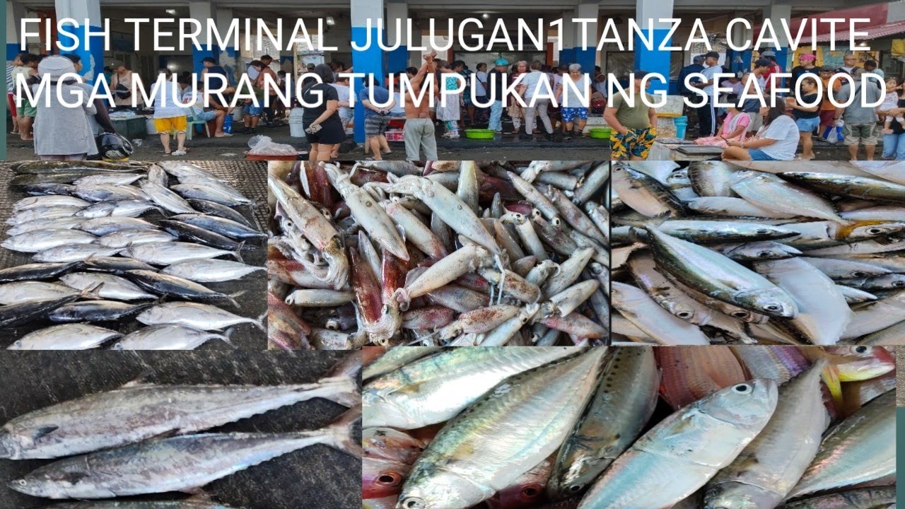 MGA MURANG TUMPUKAN NG SEAFOOD FISH TERMINAL JULUGAN1TANZA CAVITE # ...