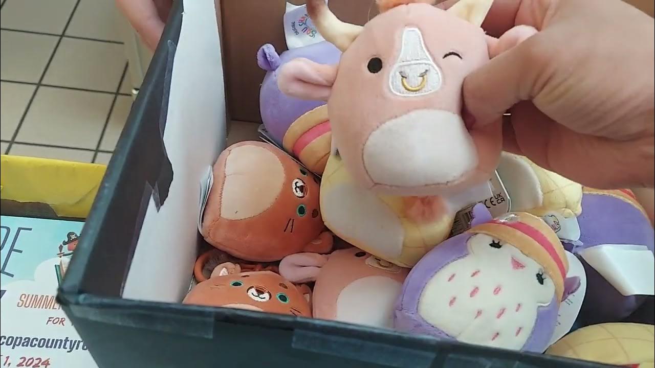 Squishmallows - Summer Reading Prizes - YouTube