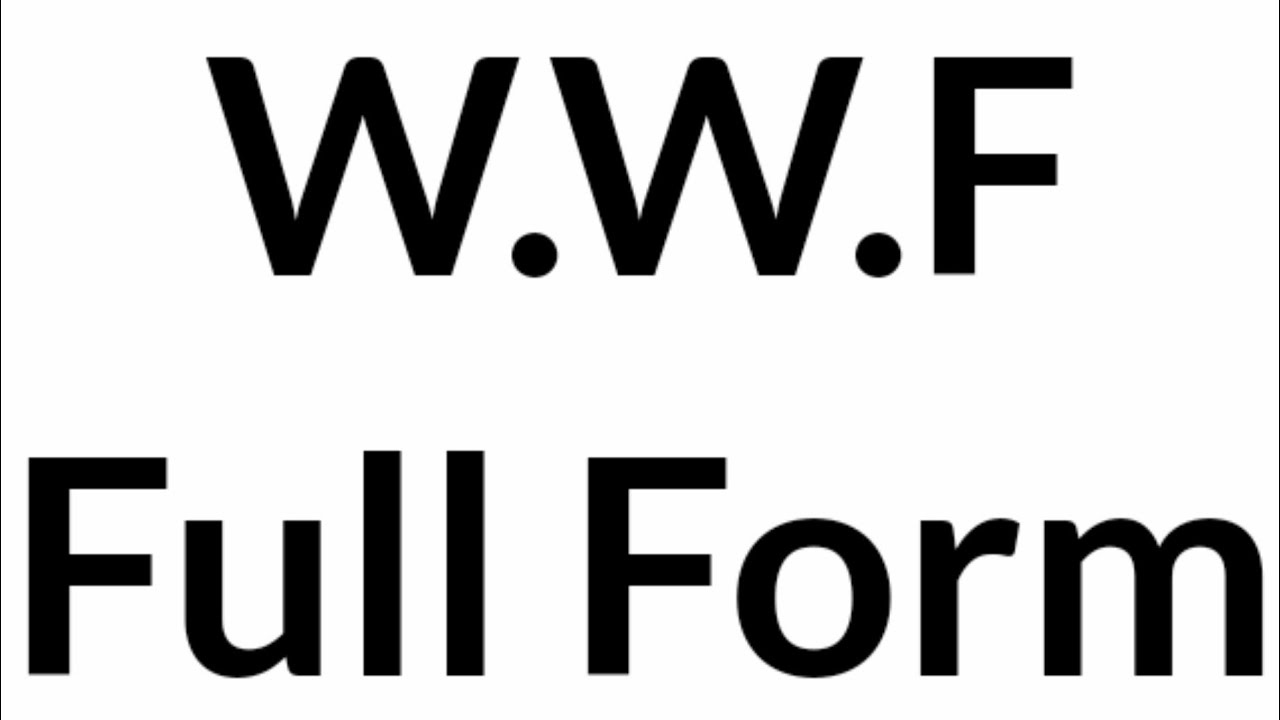 W W F Full Form W W F Full Form W W F Meaning YouTube