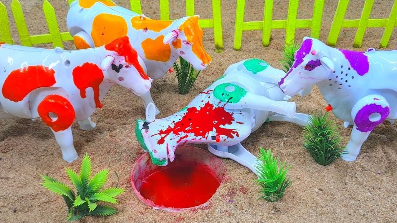 WADIDAU‼️PROSES POTONG SAPI KURBAN IDUL ADHA | PROSES MELAHIRKAN SESAR ...