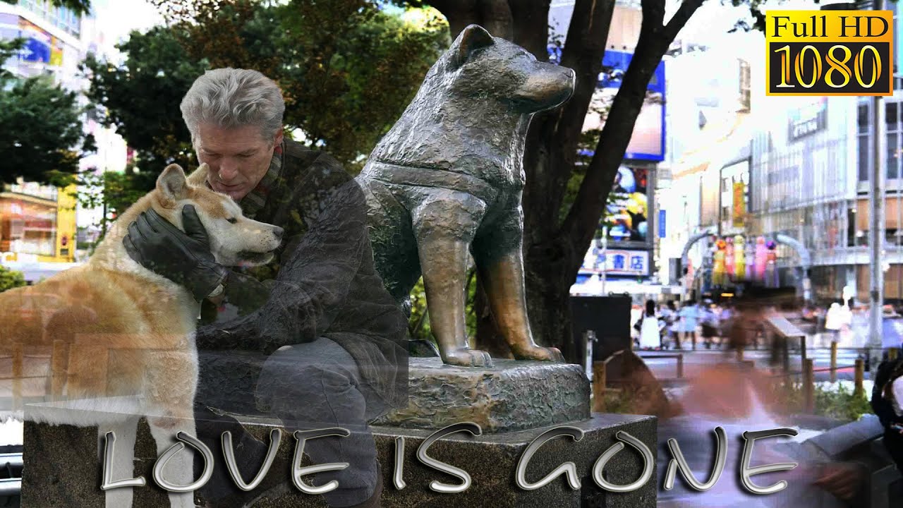 || HACHIKO || SAD || STATUS || HD || - YouTube