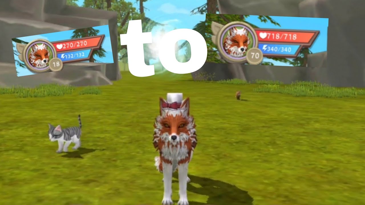 Leveling up my fox to level 18 to 70 to be ranked expert! - YouTube