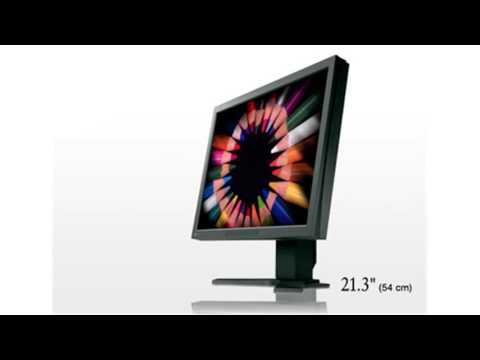 eizo flexscan l997 21