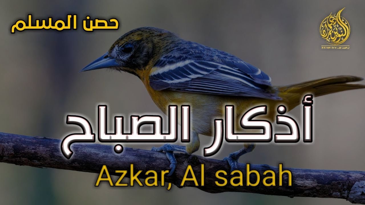 اذكار الصباح راحه نفسيه تفوق الخيال اجعل صباحك بالقران القارئ اسماعيل ...