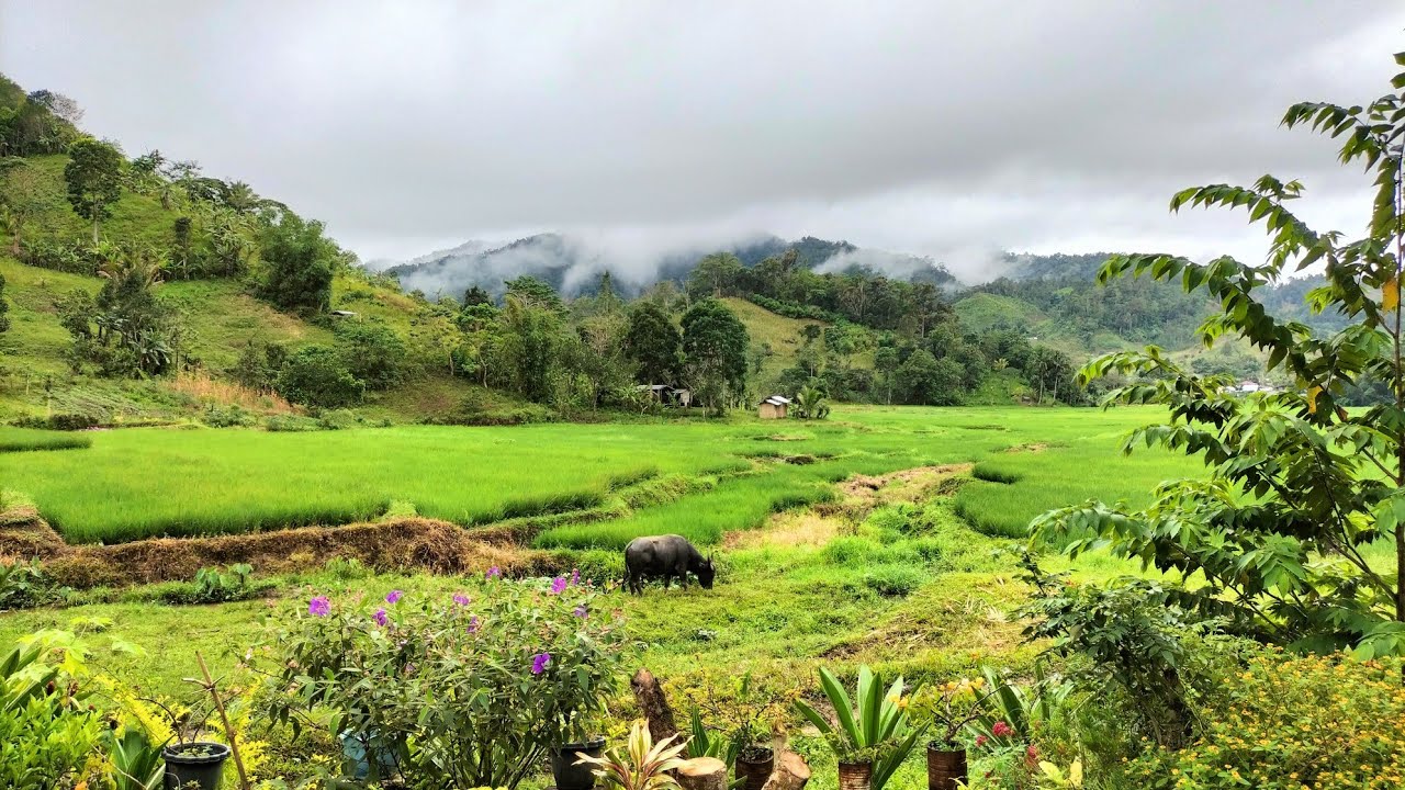 Malita Davao Occidental Map | My XXX Hot Girl