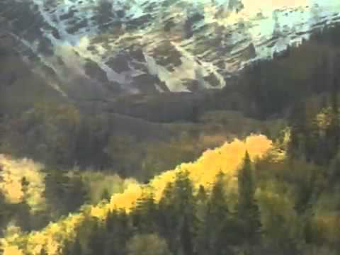 Network Earth: Ecopsychology - YouTube