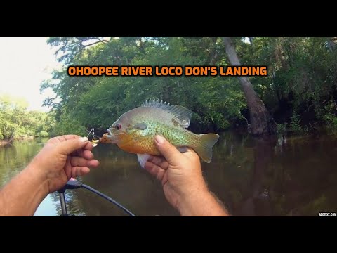River Fishing Trip Redbreast - Ohoopee River Loco Don's Landing ...