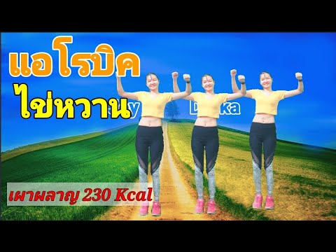 แอโรบิค ไข่หวาน เผาผลาญ 230 Kcal ผู้สูงอายุเต้นได้ ไม่มีท่ากระโดด ...