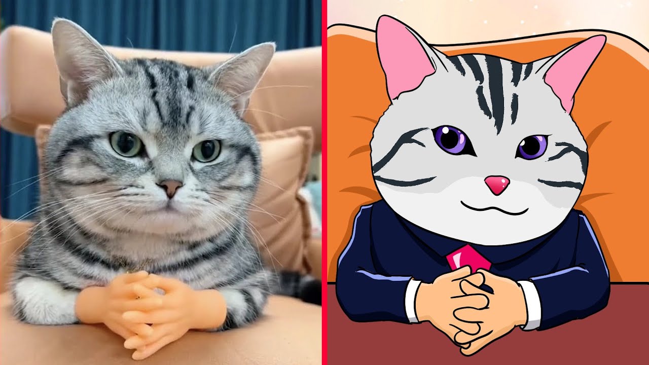 😂Cat Memes: Don't Antagonize Your Cat - Funniest Animals 2023 😂 New ...