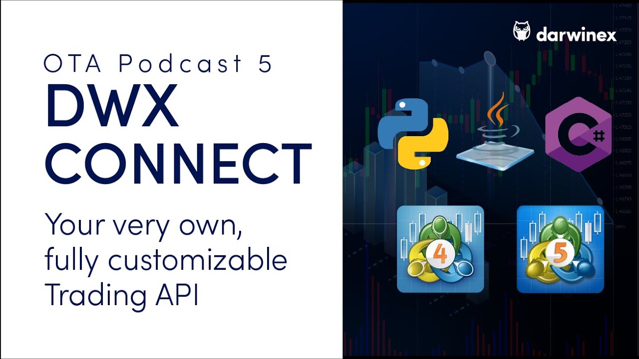 DWX Connect: Seamlessly Link Any Trading Strategy to Darwinex | One ...