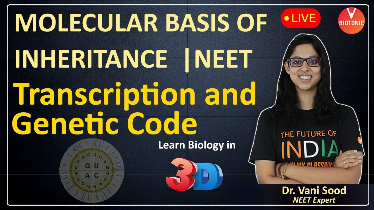 Transcription and Genetic Code | MOLECULAR BASIS OF INHERITANCE Class ...