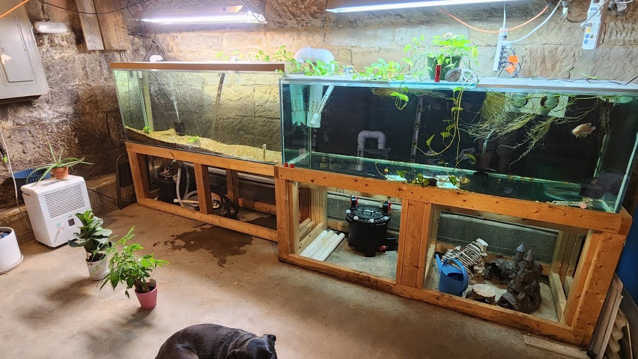 another update on the fish room and ideas - YouTube