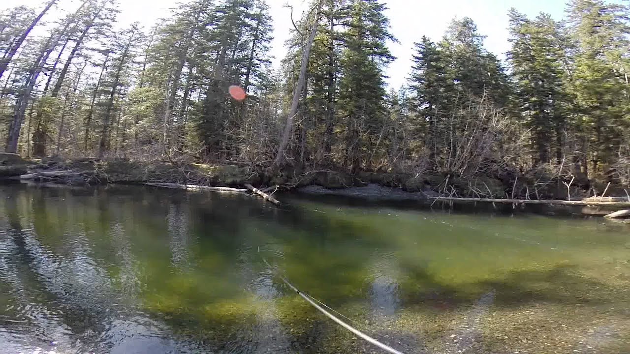 Steelhead fishing on the Situk River - YouTube