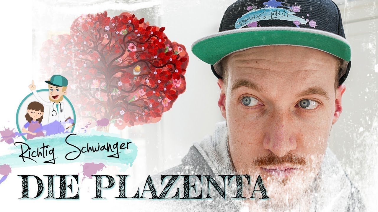 Plazenta bzw. Mutterkuchen. Wie ernährst du eigentlich dein Kind? - YouTube