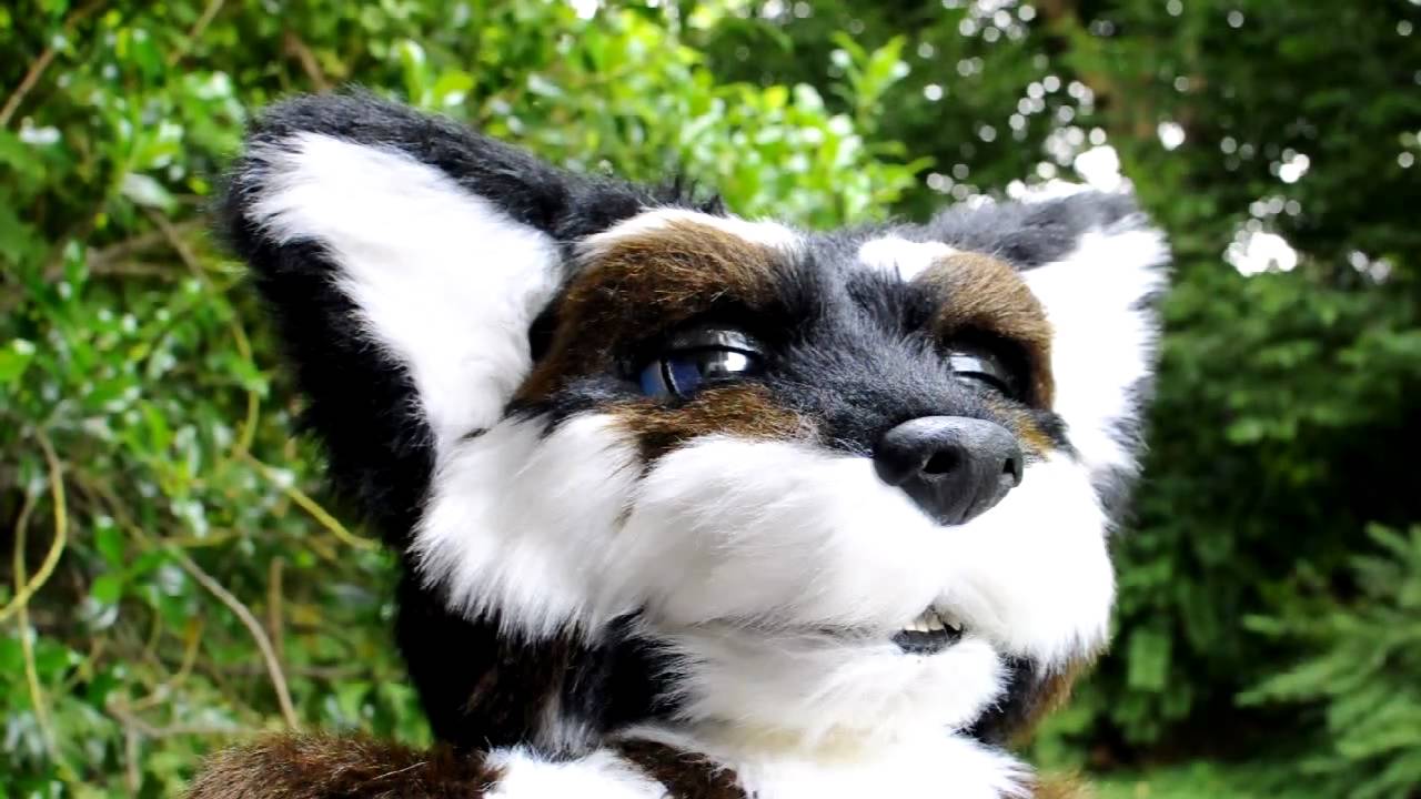 Erios animatronic fursuit head - HD-version - YouTube