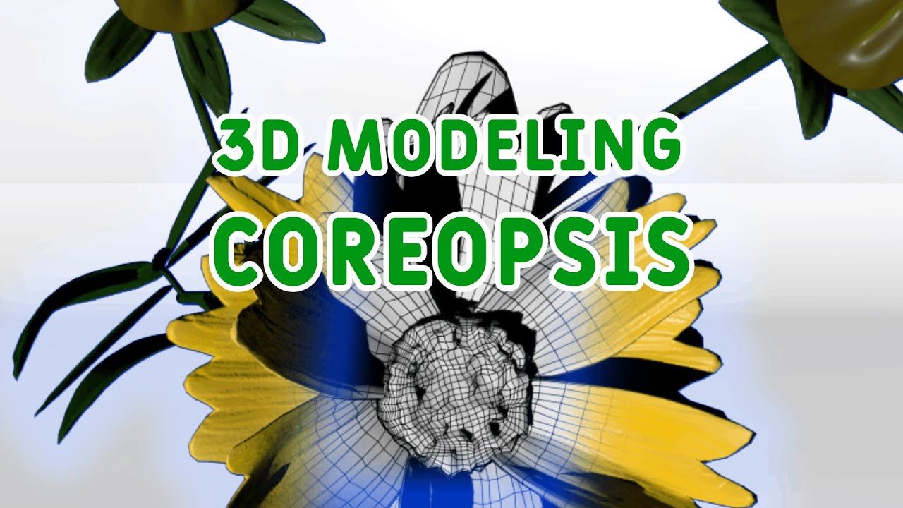 Coreopsis, tickseed, calliopsis - who knows anymore? - YouTube