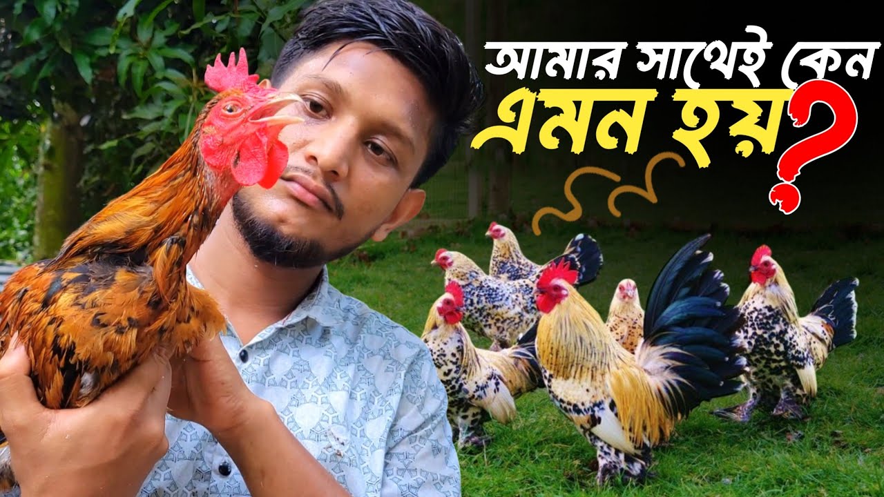 আমার পোষা প্রাণীদের রোগ যেন ছাড়ছেই না | Sojib Brother - YouTube