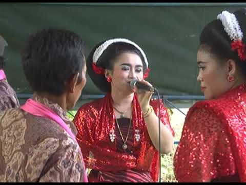 Budaya Jawa Tayub Blora Mukti Raras 4 - YouTube