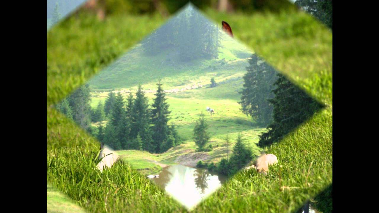 Névnapi üdvözlet.wmv - YouTube