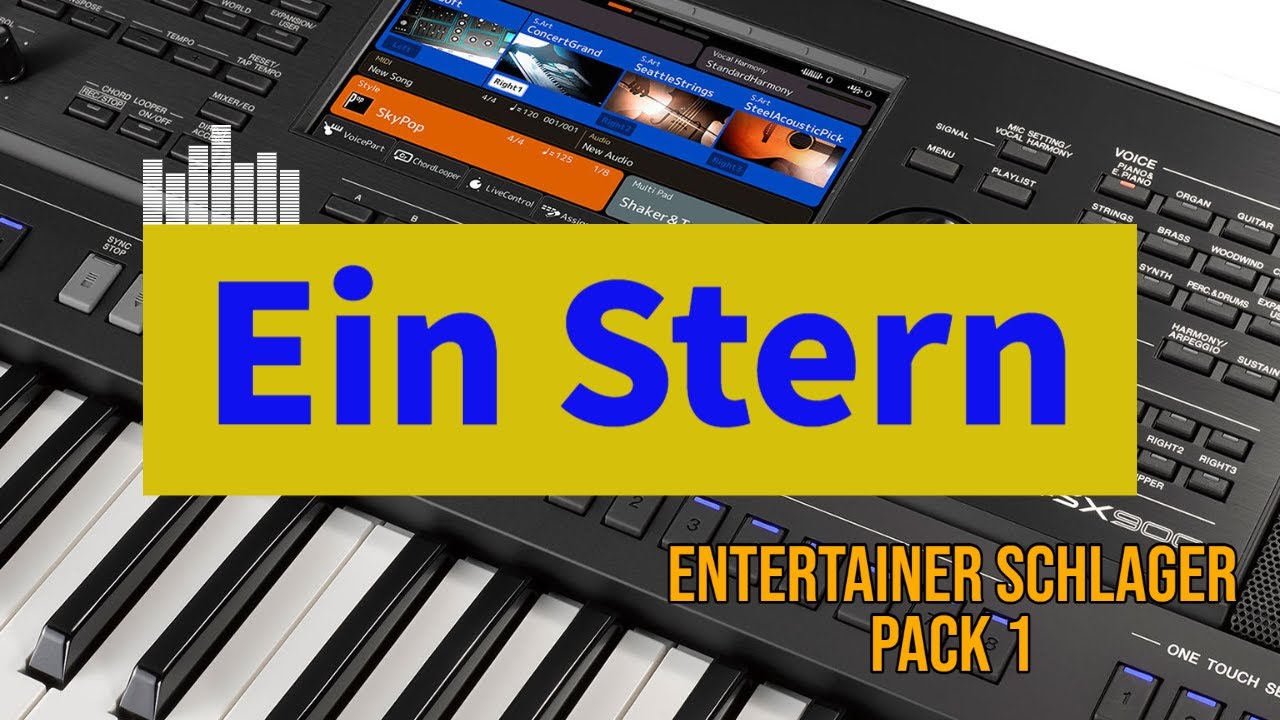Schlager DJ | Ein Stern | der deinen Namen trägt - DJ Ötzi, Nik P ...