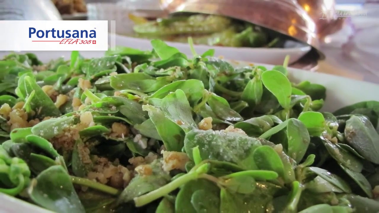 Portusana® ELFA®308 - YouTube