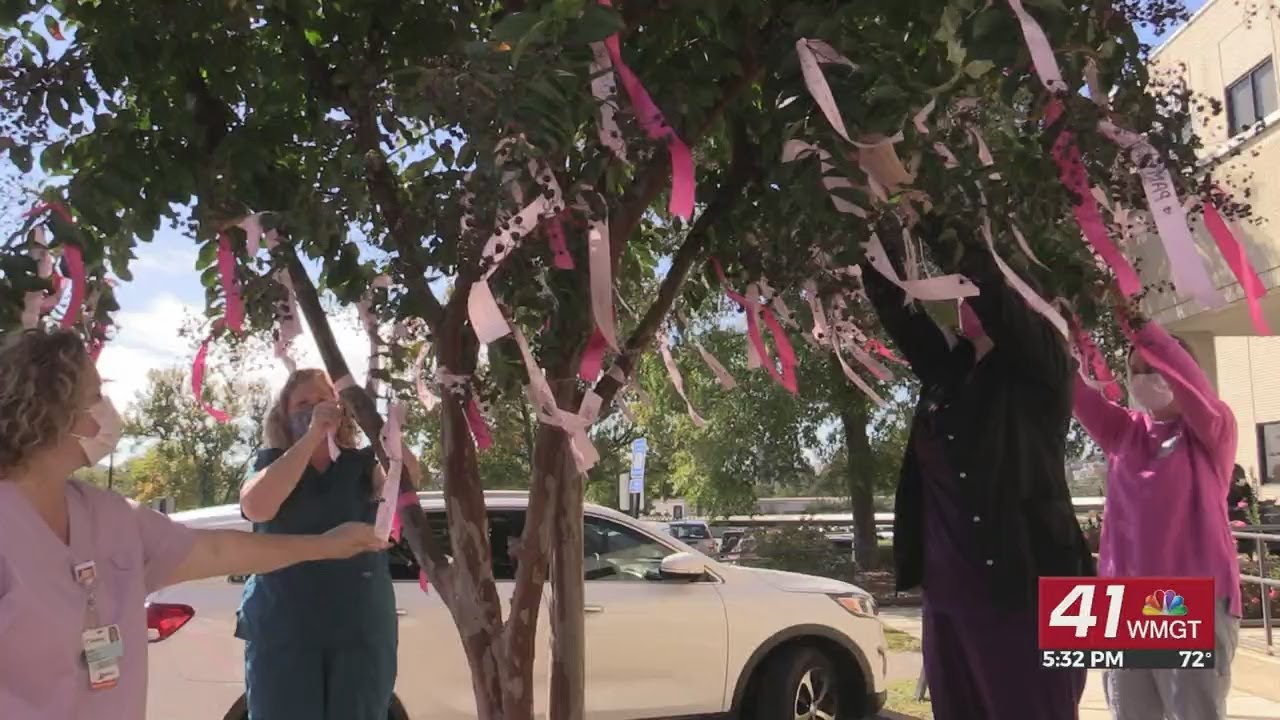 Piedmont Macon Medical Center pays tribute to breast cancer survivors ...