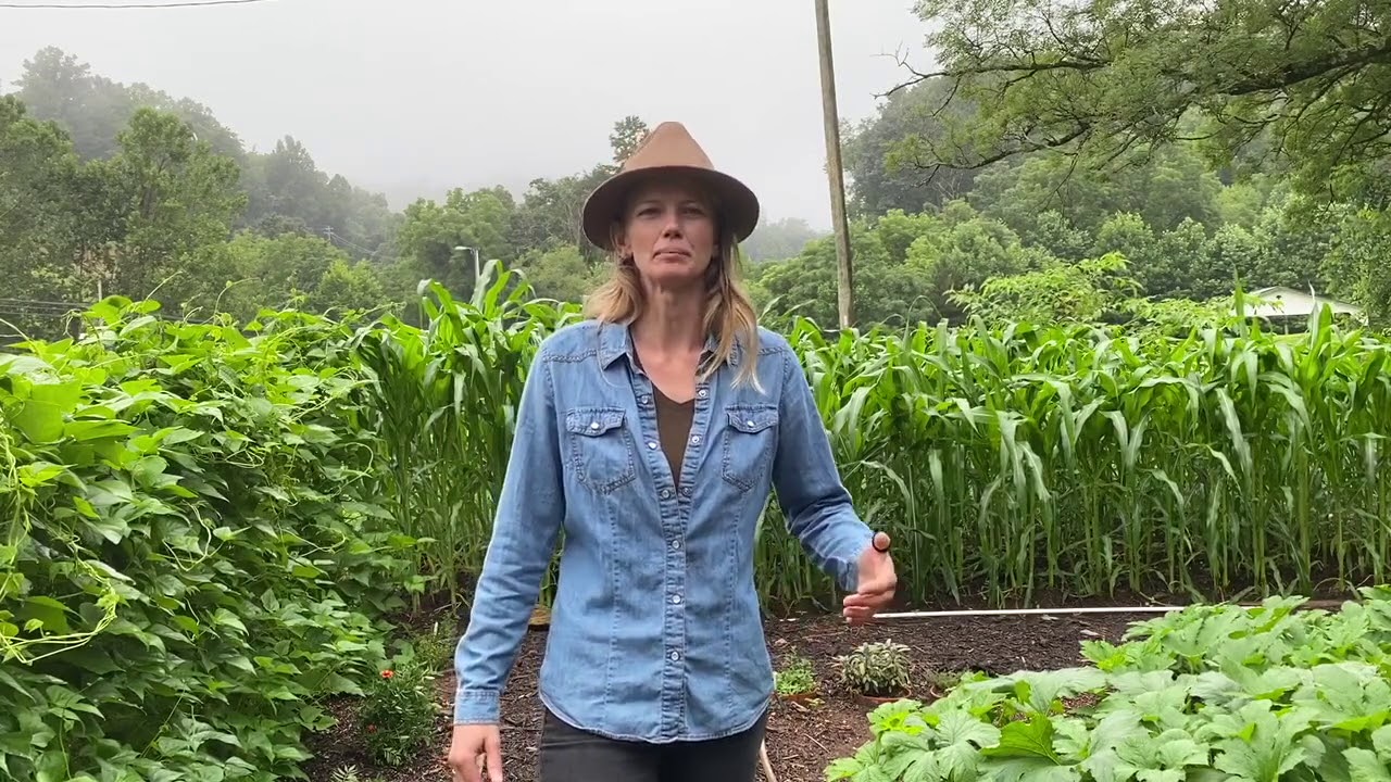 Keeping Up the Homestead: Garden with Krista Robb - YouTube