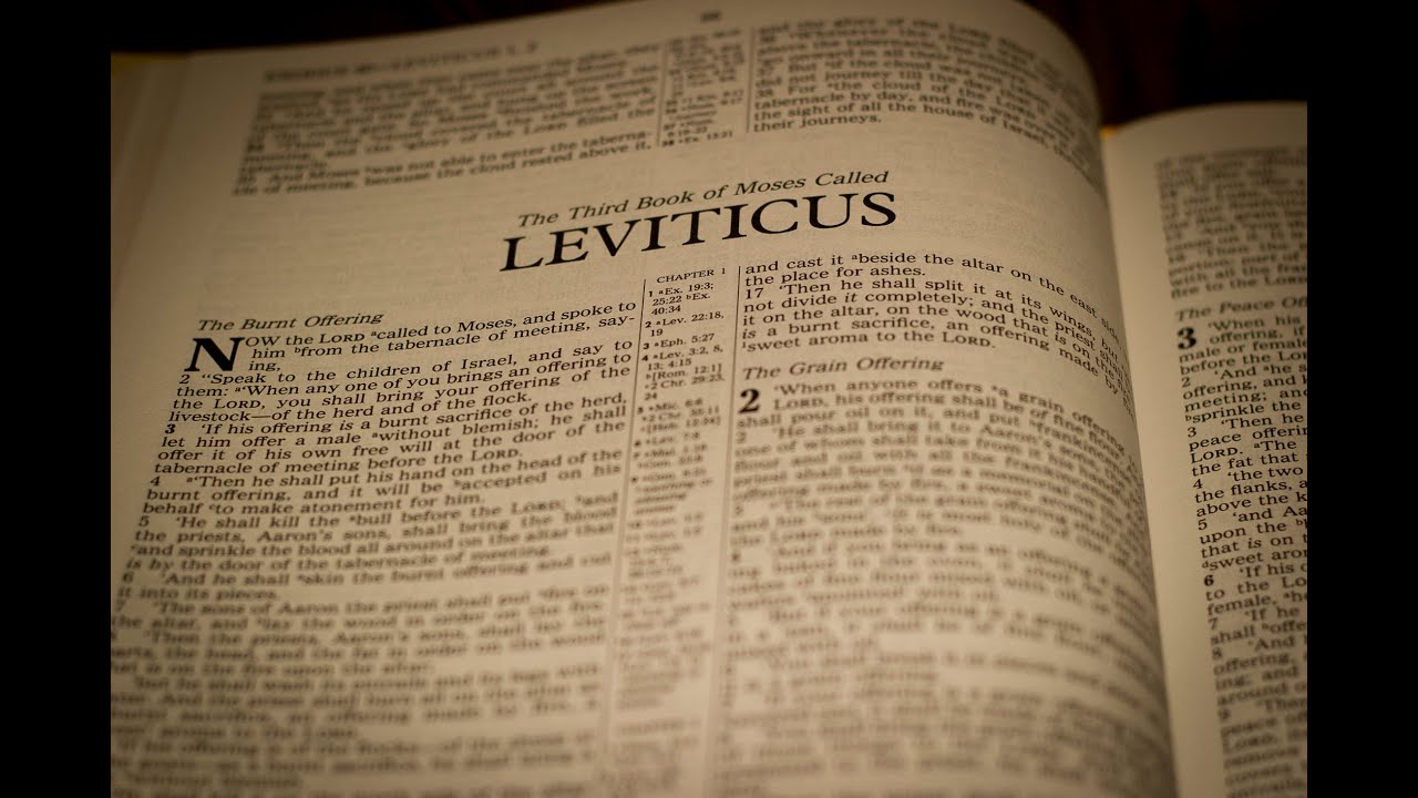 Daily Scripture Reading - Leviticus 10 - YouTube