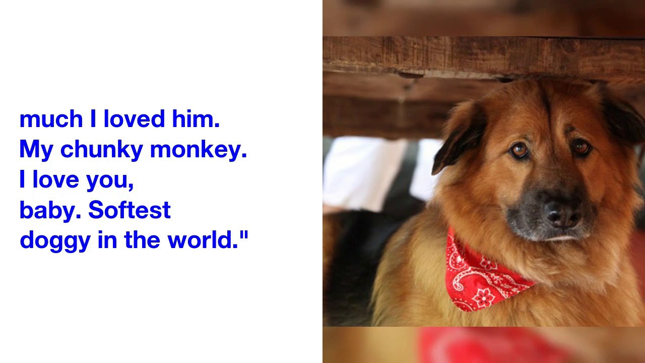 Chelsea Handler's Dog Chunk Dies - YouTube