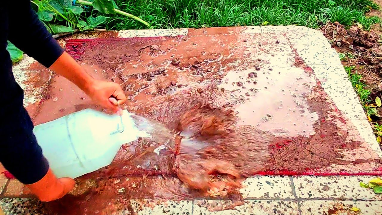 carpet cleaning satisfying | The most amazing scraping and foaming in ...