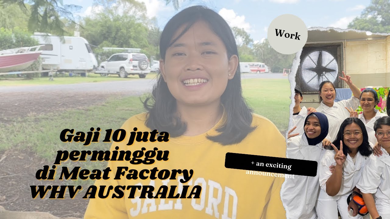 Ep 03 : Resign auditor jadi buruh di Meat Factory WHV Australia - YouTube