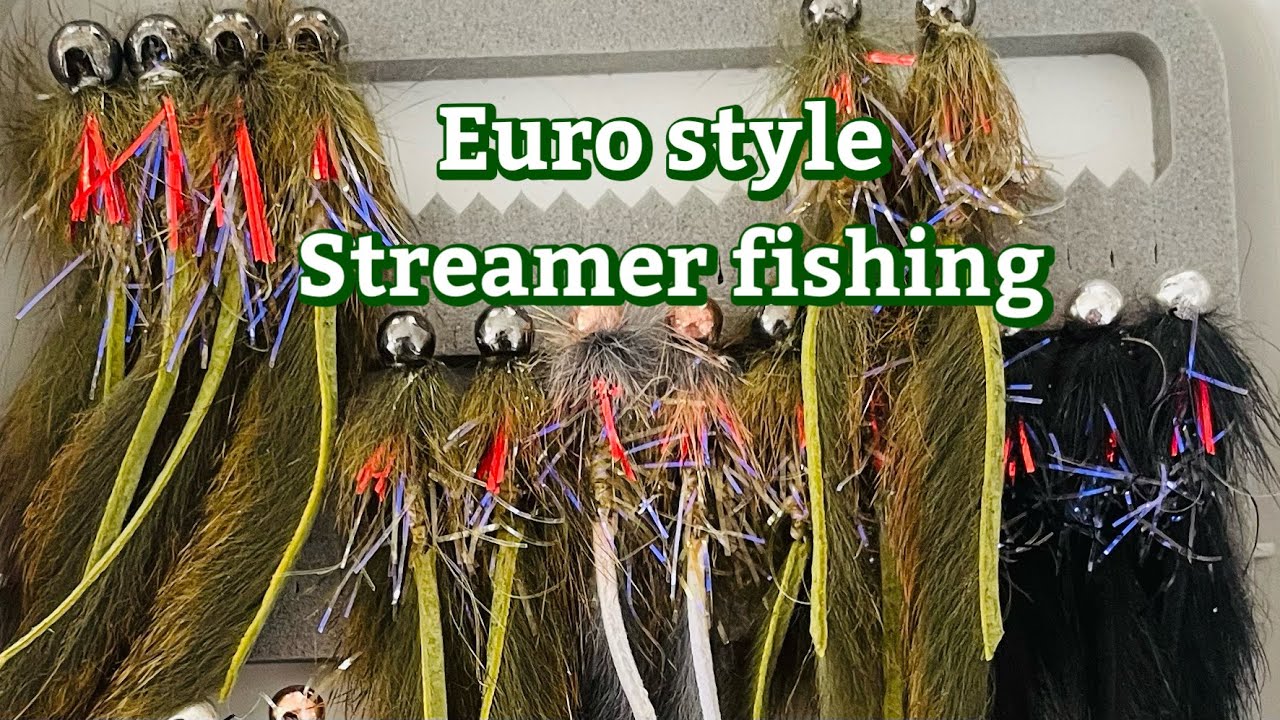 Wintertime Euro STREAMER fishing - YouTube