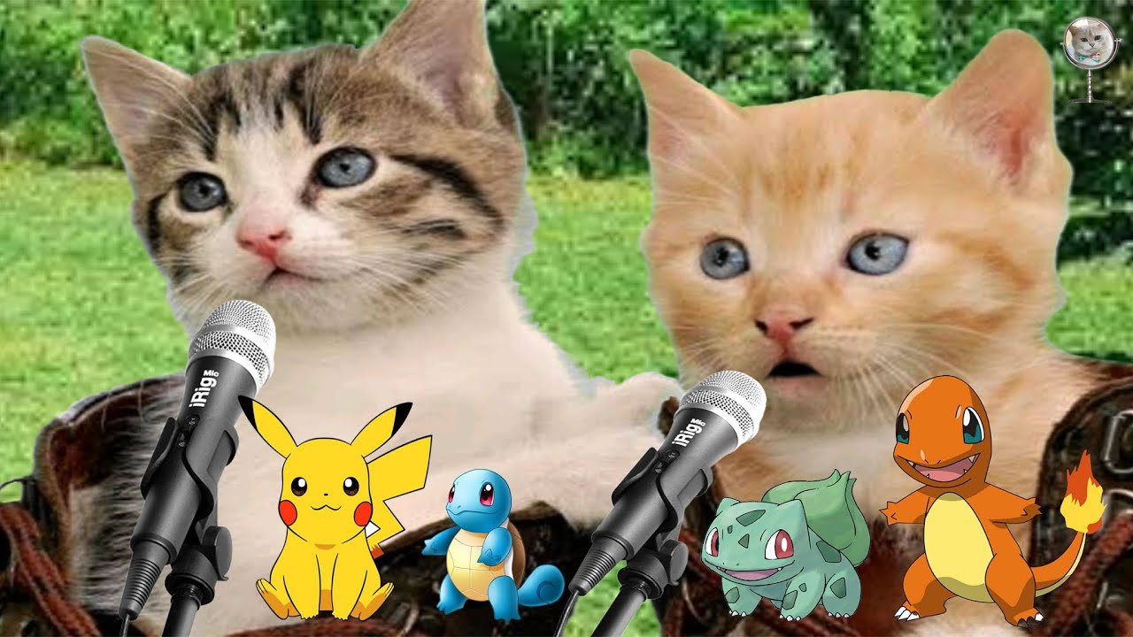 Lagu Pokemon Dimana Kamu Cover Kucing | Dunia Kucing TV - YouTube