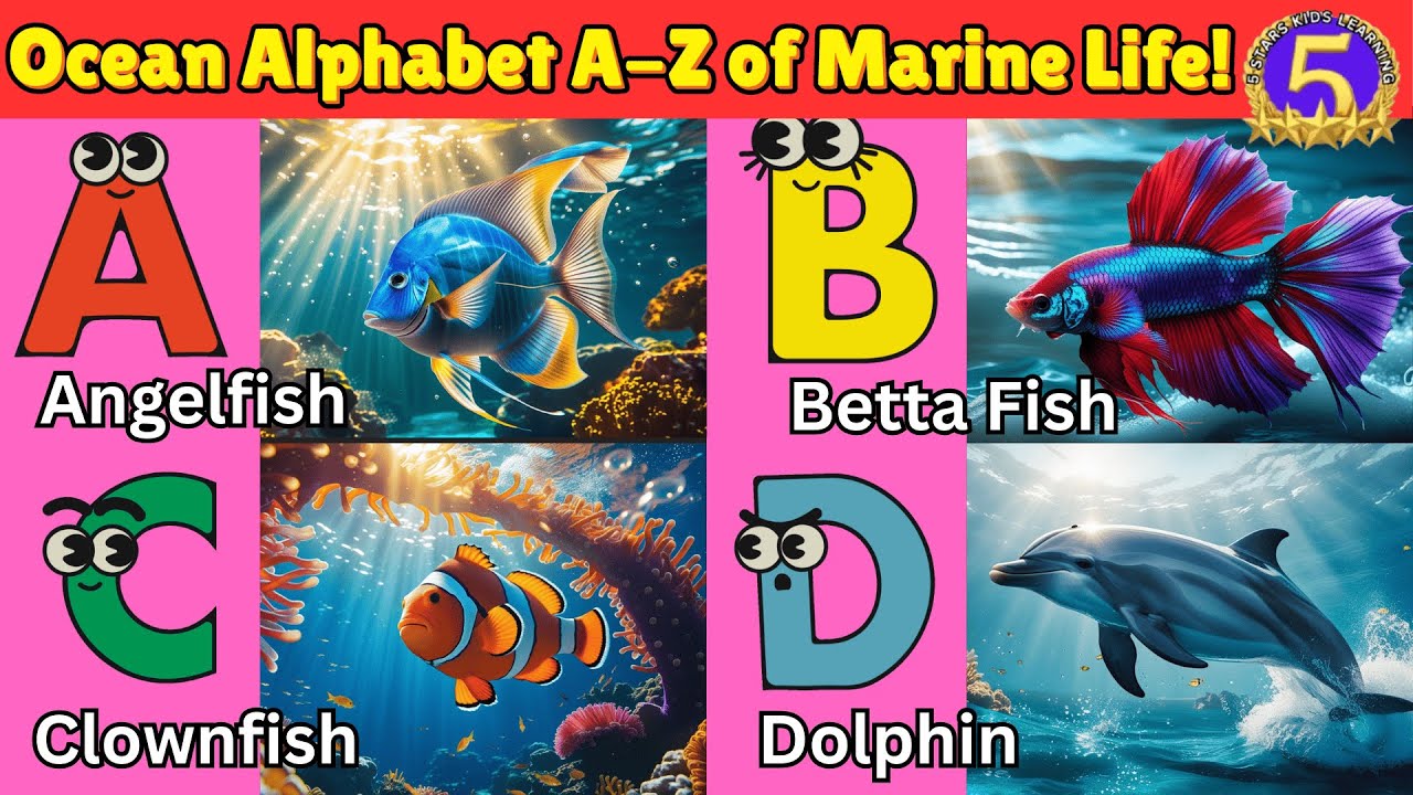 Ocean Alphabet Song | A-Z of Marine Life! | 5 Stars Kids Learning - YouTube