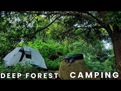 Duo camping in deep forest // camping in india - YouTube