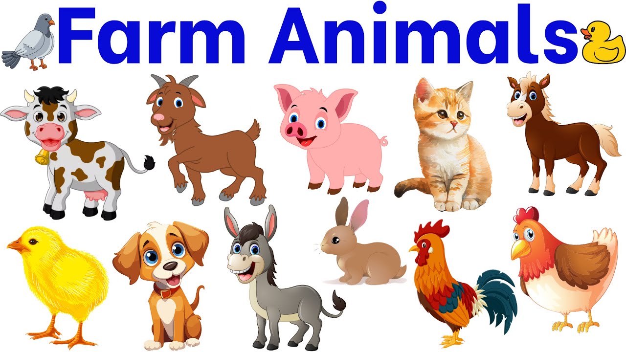 Farm Animals Names and Sounds | Learn Farm Animals - cow, goat, pig ...