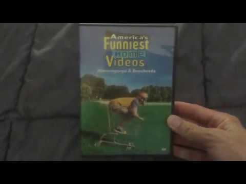 America’s Funniest Home Videos: Nincompoops & Boneheads DVD Overview - YouTube