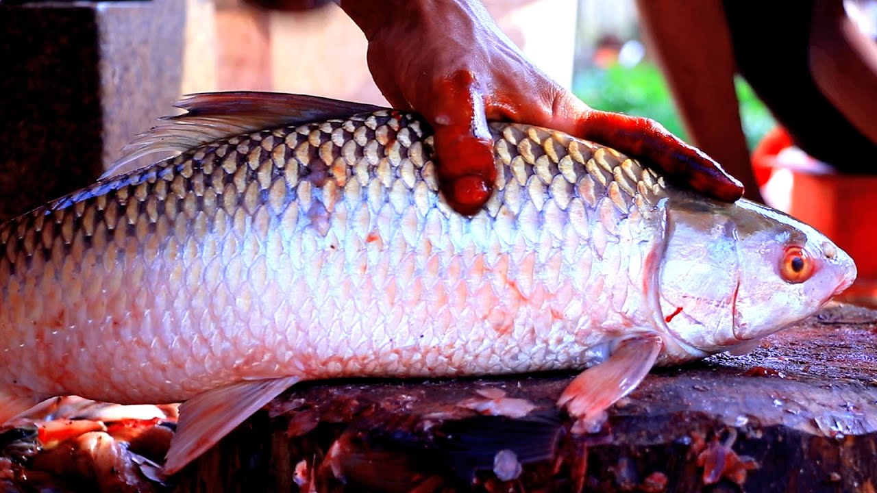 Mrigal Fish Cutting By Expert Fish Cutter | Fish Cutting Skills - YouTube