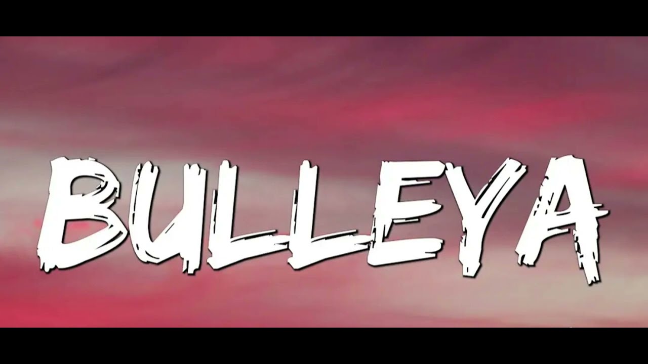 Bulleya Song Sultan Movie|| Salman Khan, Anushka Sharma|| Vishal ...